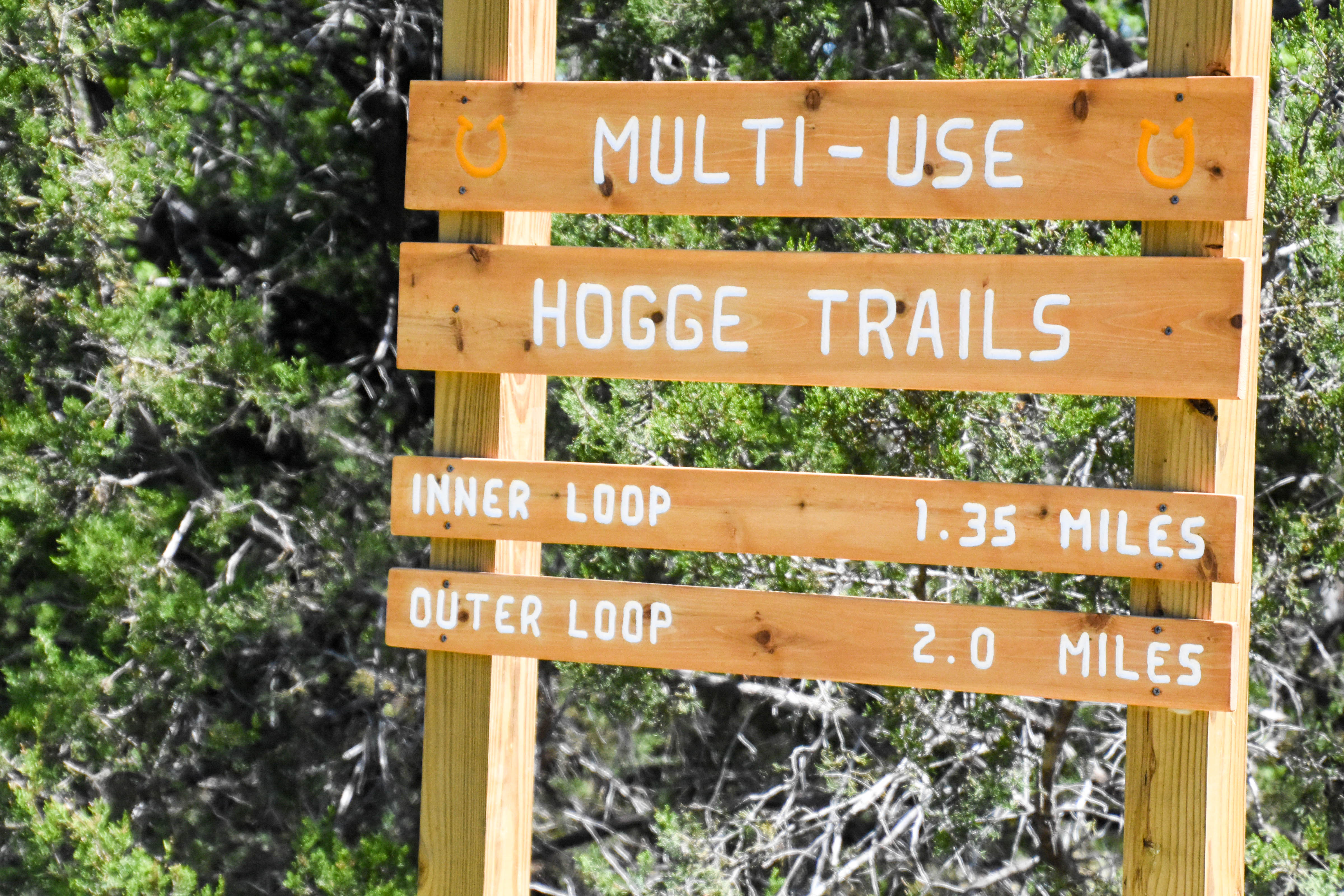 Hiking the Hogge Trails | Life and Day to Day things by a Pond Lover